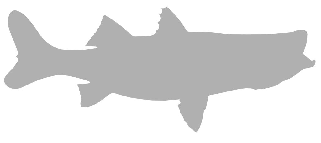 45-Inch Common Snook Blank Fish Mounts, Standard | King Sailfish Mounts
