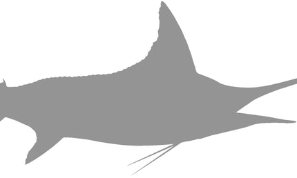 105-Inch Striped Marlin Blank Fish Mounts, Standard | King Sailfish Mounts