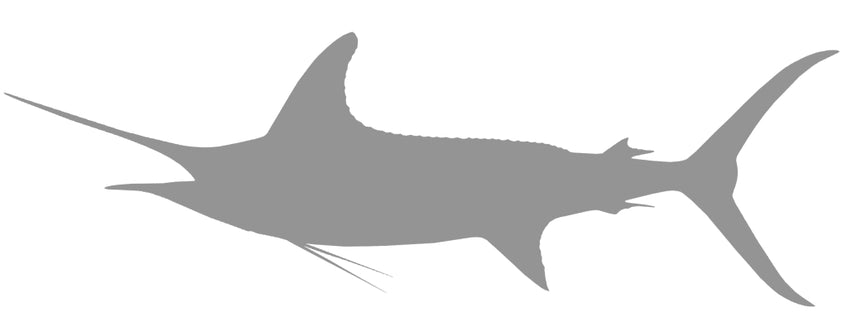 Striped Marlin Fish Blanks, Standard | King Sailfish Mounts