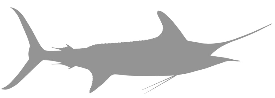Striped Marlin Fish Blanks, Standard | King Sailfish Mounts