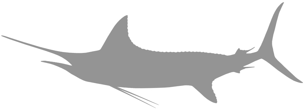 79-Inch Striped Marlin Blank Fish Mounts, Standard | King Sailfish Mounts