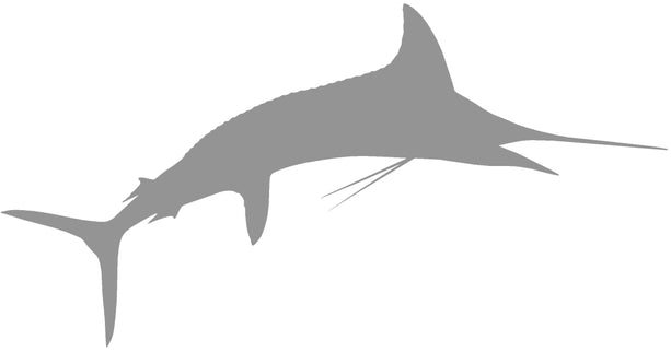 Striped Marlin Fish Blanks, Standard | King Sailfish Mounts