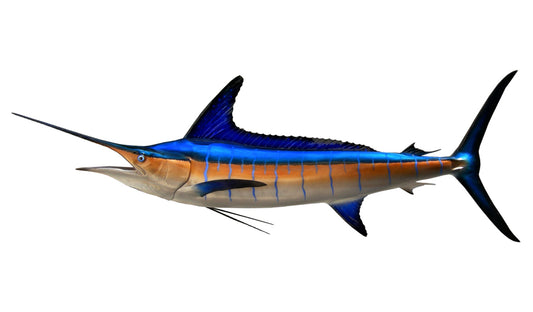 Striped Marlin Fish Mounts | King Sailfish Mounts
