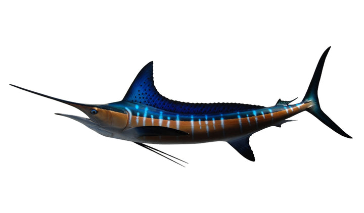 Striped Marlin Fish Mounts | King Sailfish Mounts