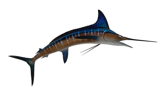 Striped Marlin Fish Mounts | King Sailfish Mounts