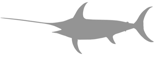 Swordfish Fish Blanks, Standard | King Sailfish Mounts