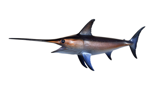 Swordfish Miniature Fish Mounts | King Sailfish Mounts