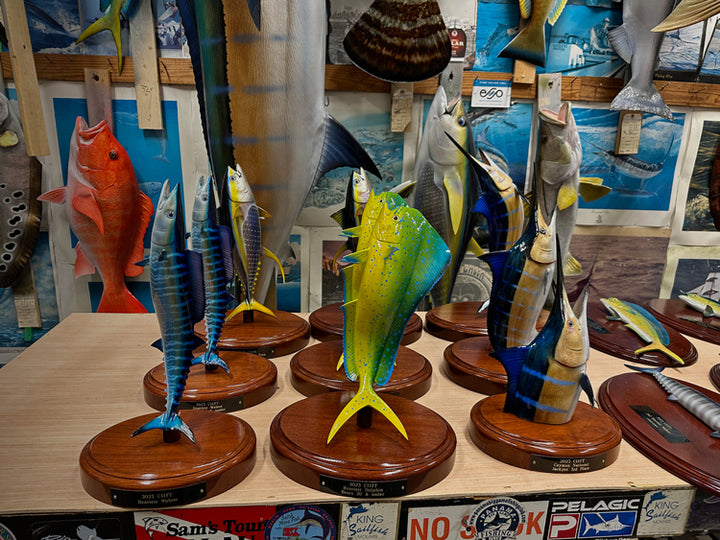 King Sailfish Mounts | Fish Mounts & Replicas