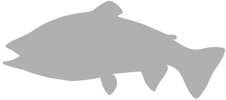 Brook Trout Fish Blanks, Standard | King Sailfish Mounts