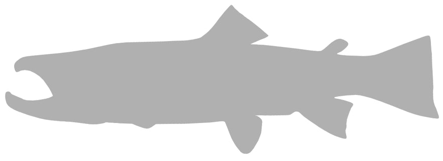Brown Trout Fish Blanks, Standard | King Sailfish Mounts