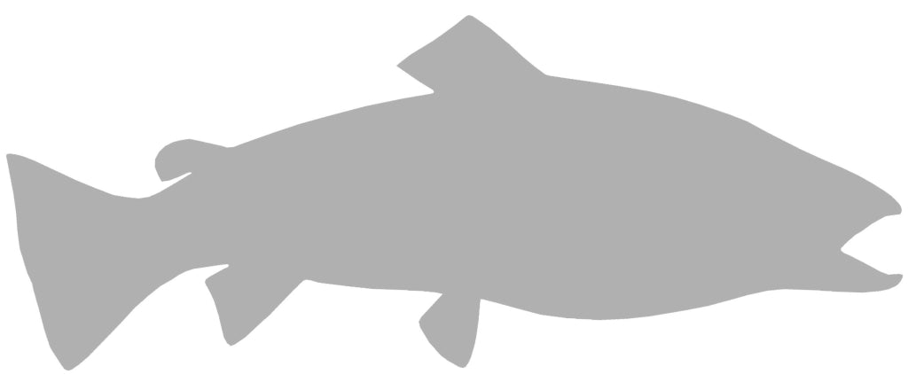 31-Inch Brown Trout Blank Fish Mounts, Standard | King Sailfish Mounts