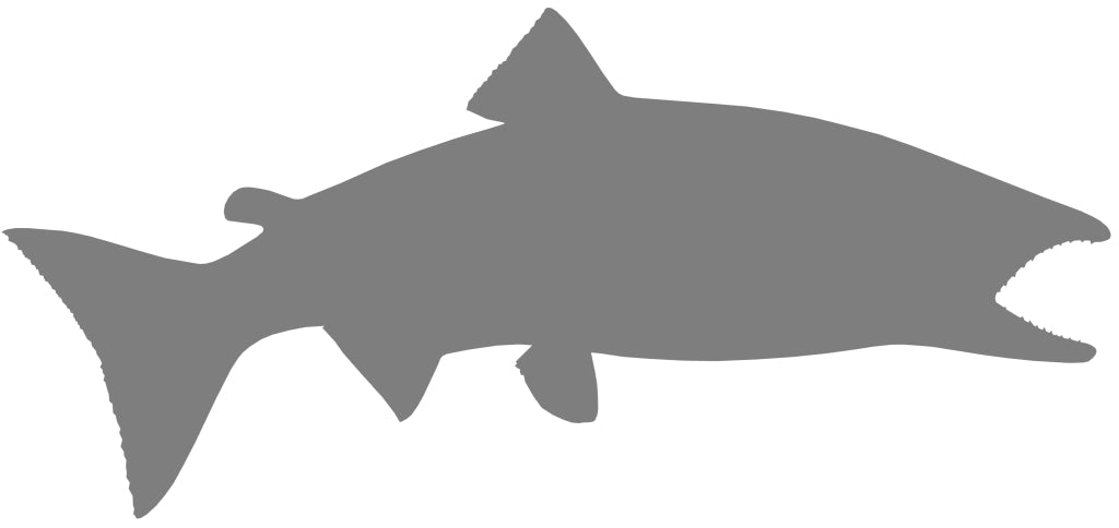 21-Inch Lake Trout Blank Fish Mounts, Standard | King Sailfish Mounts