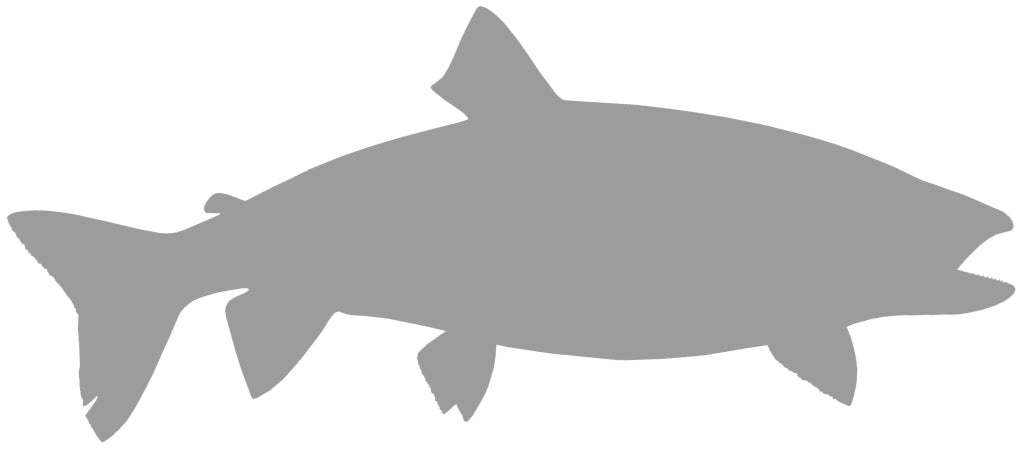 30-Inch Lake Trout Blank Fish Mounts, Standard | King Sailfish Mounts