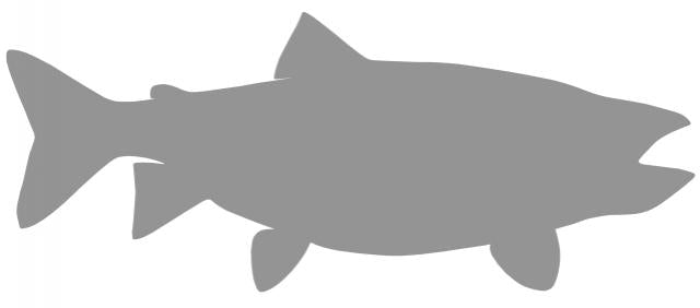 Lake Trout Fish Blanks, Standard | King Sailfish Mounts