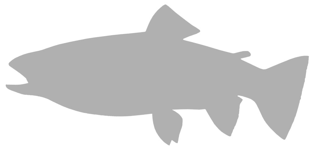 21-Inch Rainbow Trout Blank Fish Mounts, Standard | King Sailfish Mounts