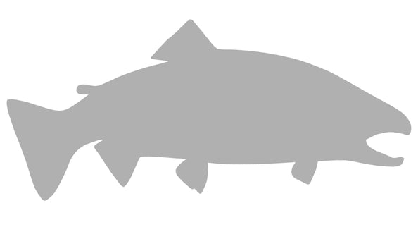Rainbow Trout Fish Blanks, Standard | King Sailfish Mounts