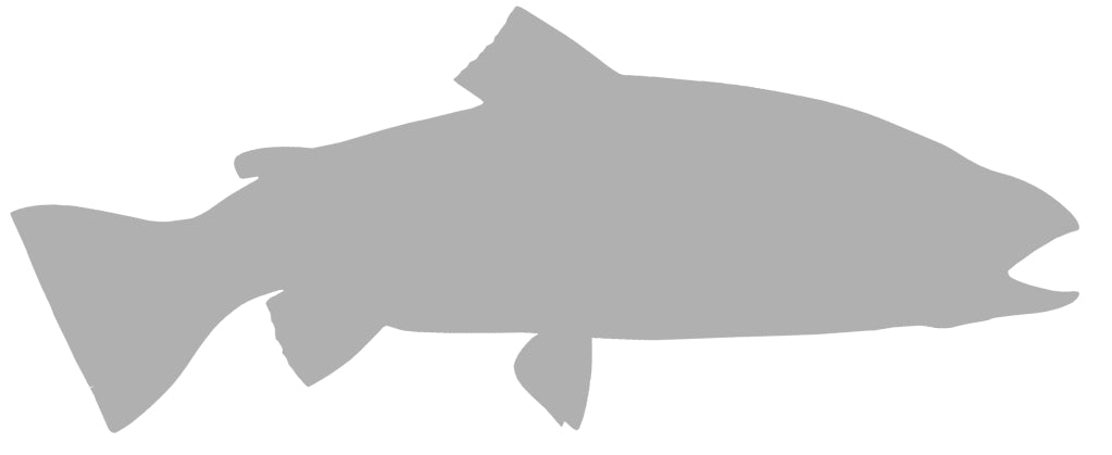 30-Inch Rainbow Trout Blank Fish Mounts, Standard | King Sailfish Mounts