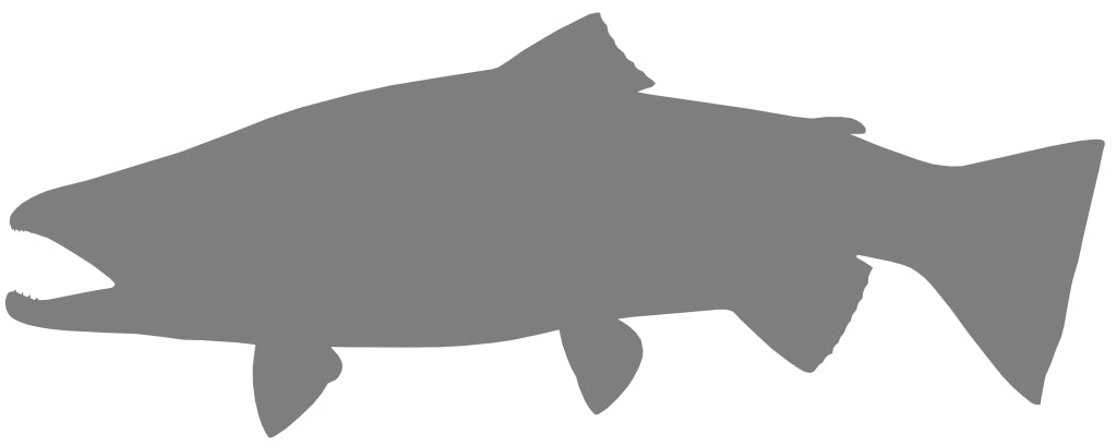 32-Inch Steelhead Trout Blank Fish Mounts, Standard | King Sailfish Mounts