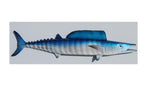 Wahoo Miniature Fish Mounts | King Sailfish Mounts