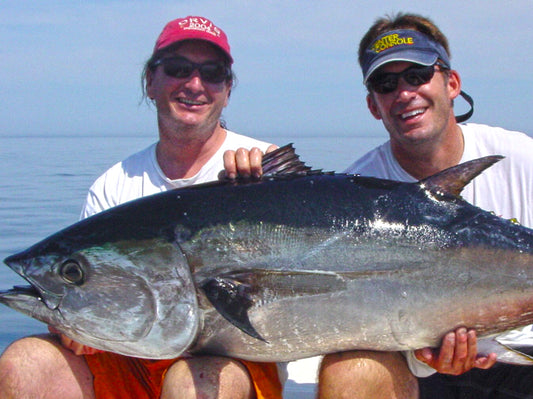 Bluefin Tuna Fish Mounts | King Sailfish Mounts