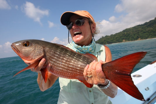 Mullet Snapper Fish Mounts | King Sailfish Mounts