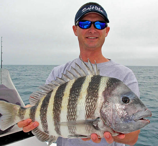 Sheepshead Fish Mounts | King Sailfish Mounts